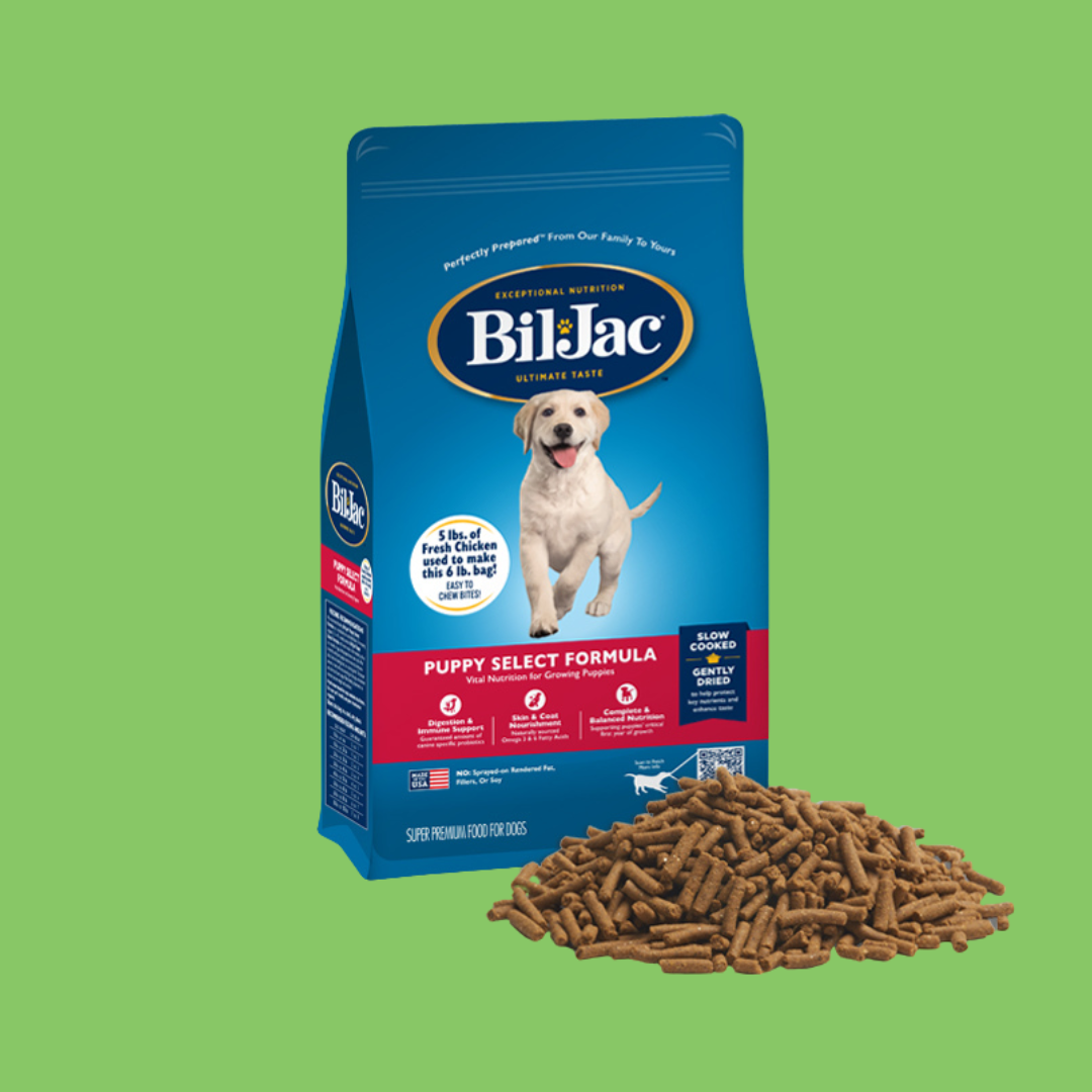 Perros – La Jungla De Timo