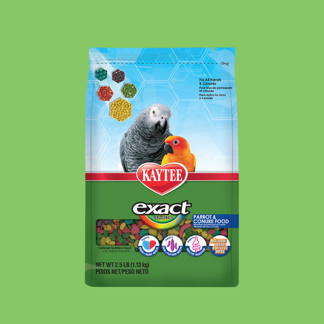 Aves – La Jungla De Timo