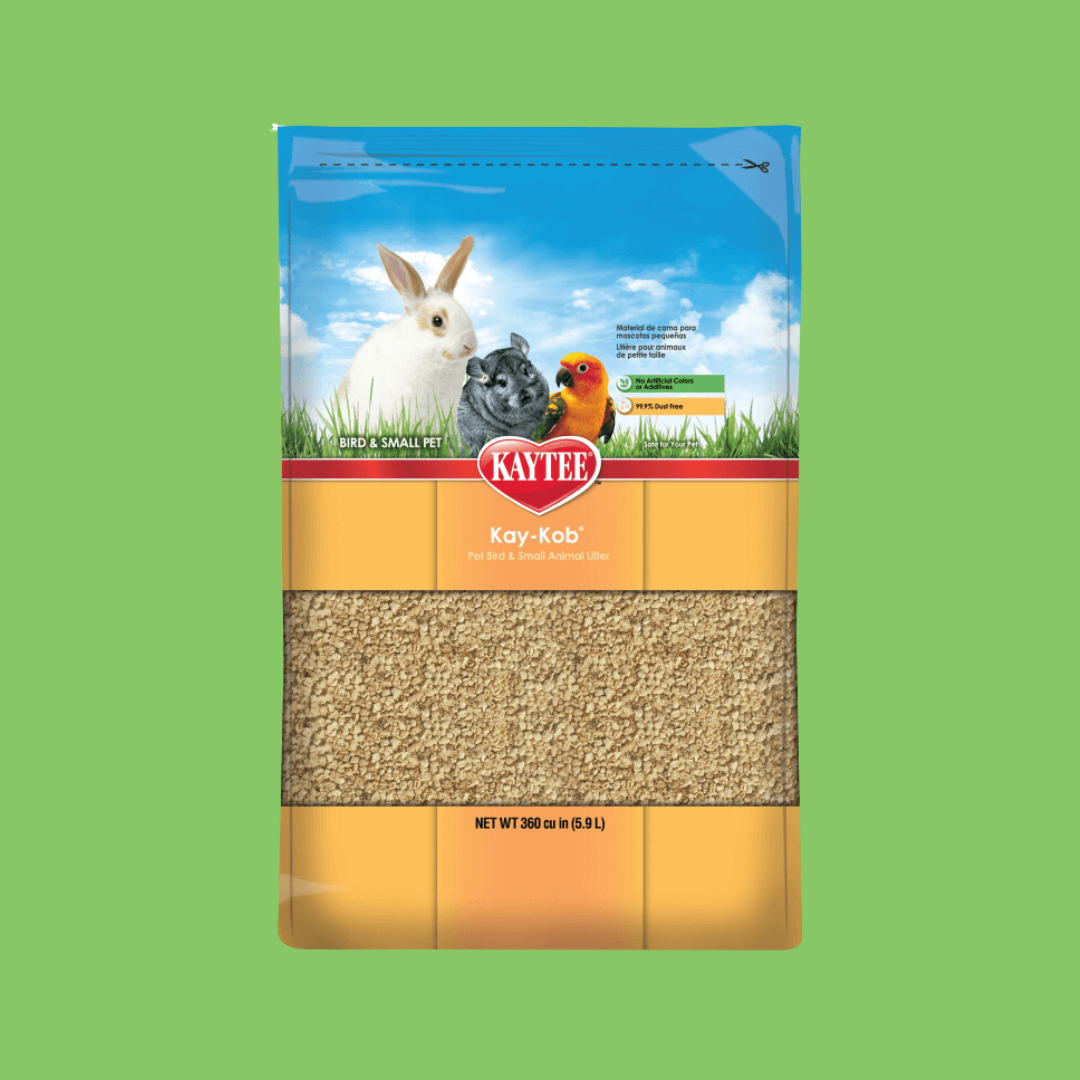 Aves – La Jungla De Timo