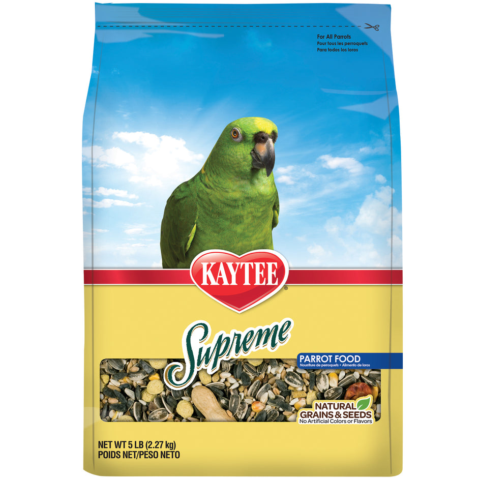 Aves – La Jungla De Timo