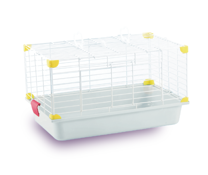 Mamíferos – La Jungla De Timo