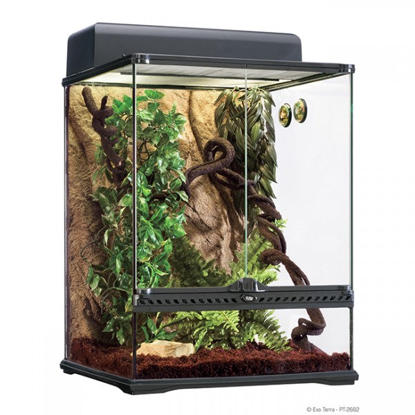 Hábitat – La Jungla De Timo